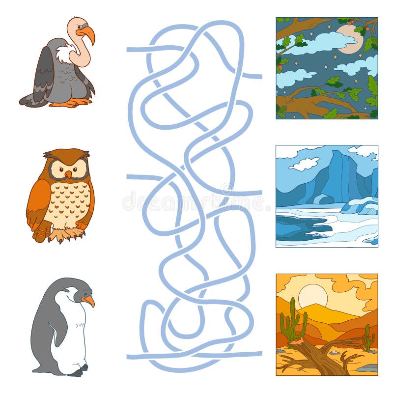 Maze Game (birds and Habitat) Stock Vector - Illustration of ...
