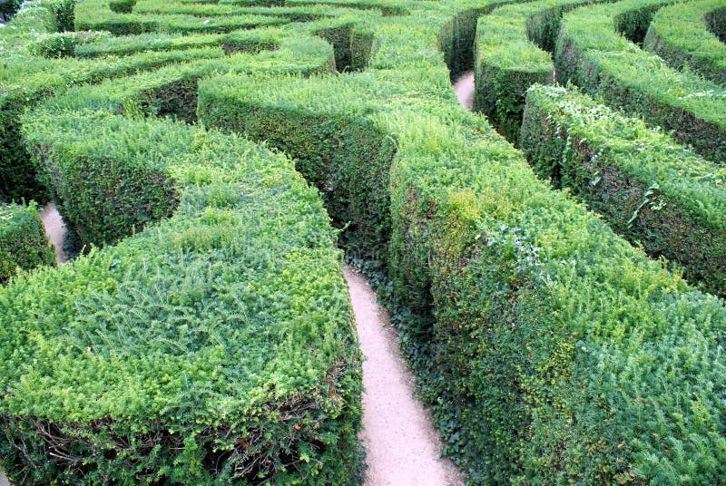 Maze stock photo. Image of shape, gardening, ways, pathways - 46766248