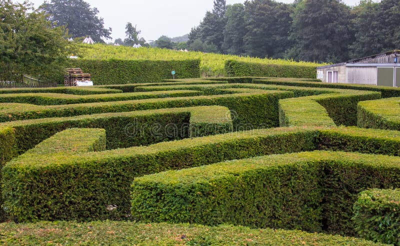 The Maze at Leeds Castle editorial photo. Image of maze - 126024791