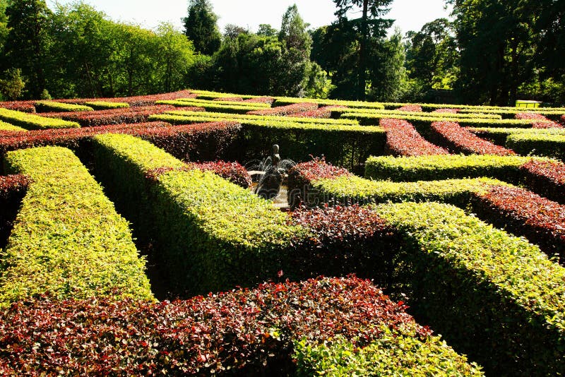 Topiary Maze stock photo. Image of lost, landscaping - 24672800