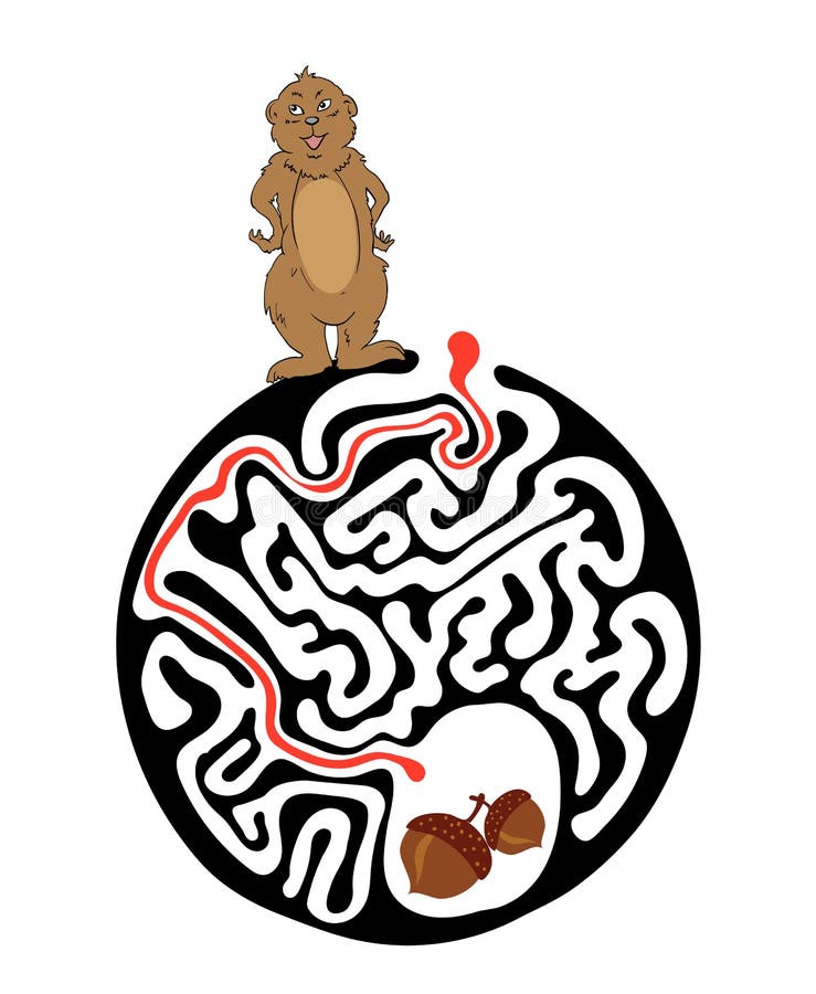 Maze Puzzle for Kids with Marmot and Nut. Labyrinth Illustration ...