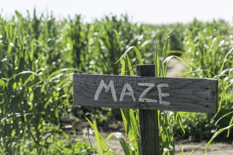 Corn Maze Sign Stock Photos - Free & Royalty-Free Stock Photos from ...