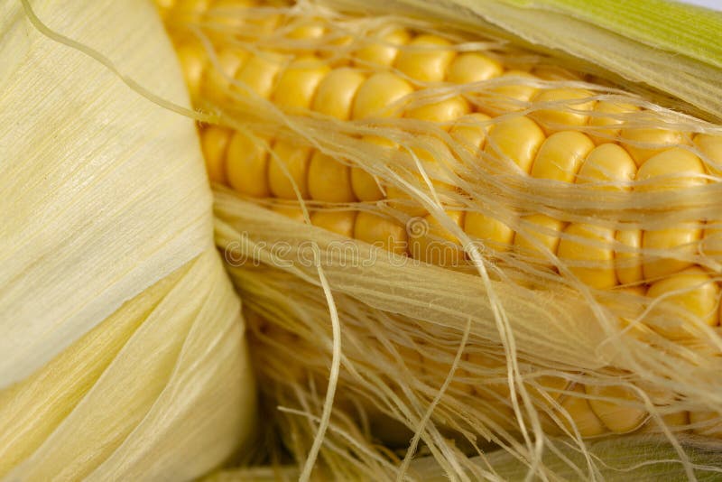 Mazorca De Maíz Con Las Hojas Secas En El Fondo Blanco Imagen de ...