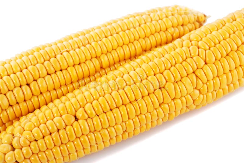 Mazorcas de maíz imagen de archivo. Imagen de granja - 35211779