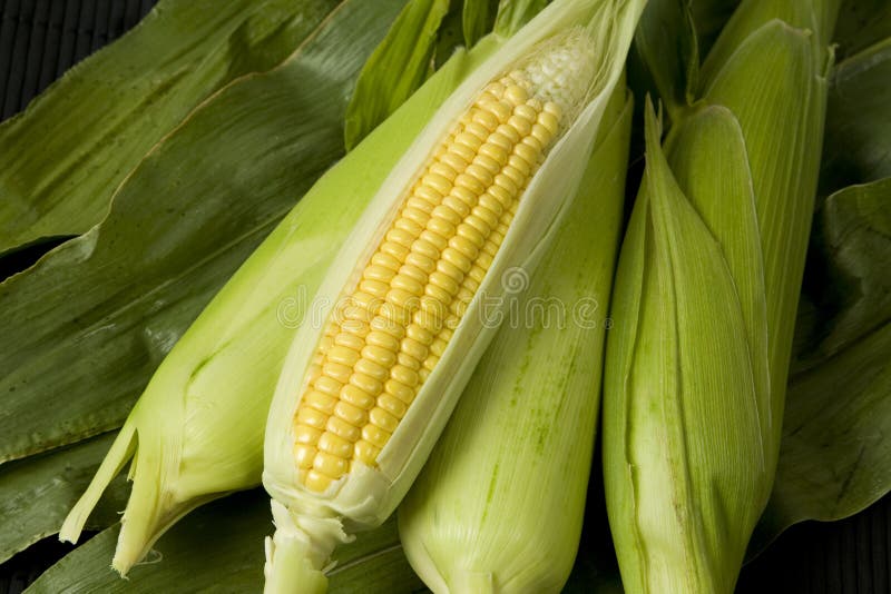 Mazorcas del maíz dulce imagen de archivo. Imagen de crudo - 6473697
