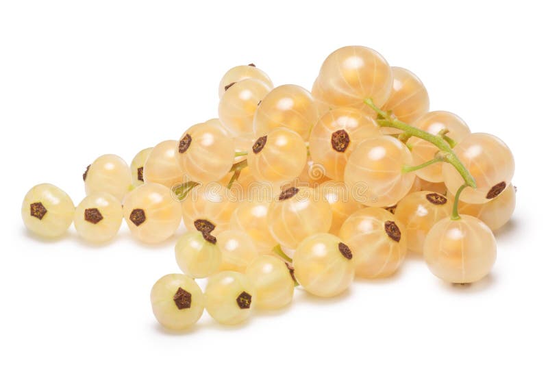 Mazzo Del Ribes Sativum (ribes Rubrum) Fotografia Stock - Immagine di ...