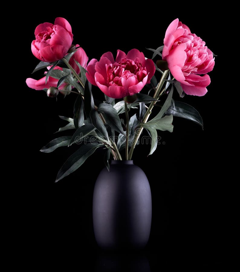 Mazzo Delle Peonie Rosa in Un Vaso Fotografia Stock - Immagine di fiore ...