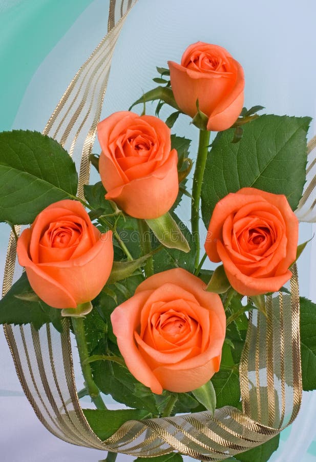 Rose Arancio Con I Fiori Bianchi Immagine Stock - Immagine di valentine ...