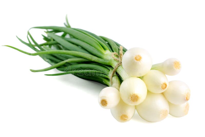 Tagli la cipolla verde fotografia stock. Immagine di nomi - 28290060