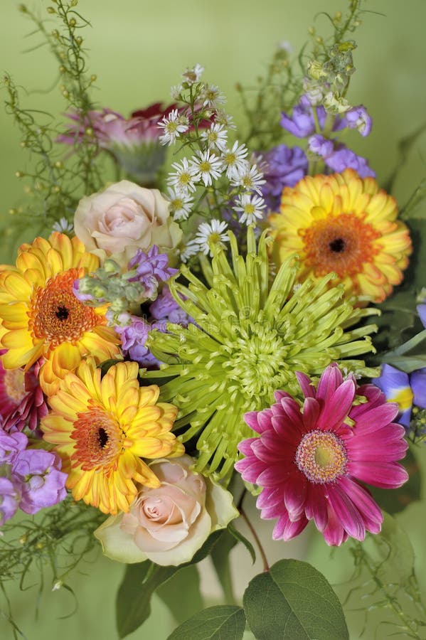 Colori i cuori del fiore illustrazione di stock. Illustrazione di ...