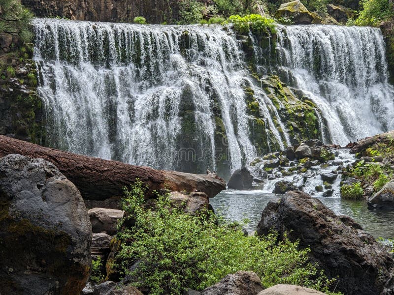 McCloud Falls stock image. Image of water, nature, mccloud - 278143697