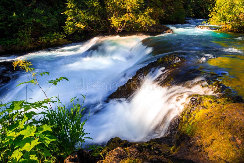 McKenzie River Cascades, Willamette National Forest, Oregon Stock Image ...