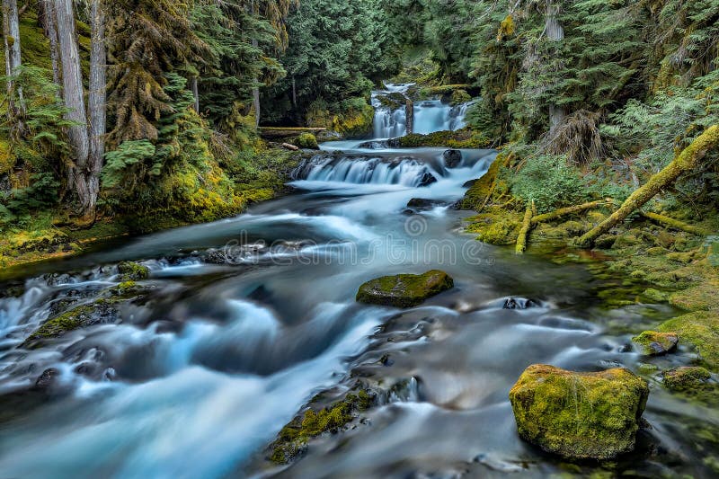 McKenzie River Flows stock photo. Image of falls, rivers - 235392496