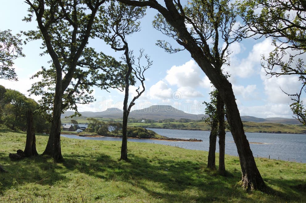 Mcleods Tables through Trees Stock Photo - Image of travel, scenic ...