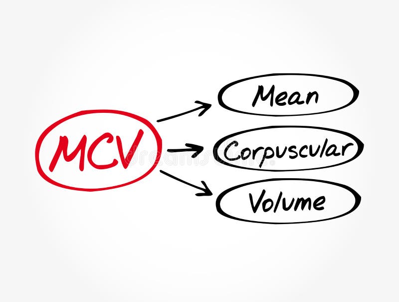MCV - Mean Corpuscular Volume Acronym, Health Concept on Blackboard ...
