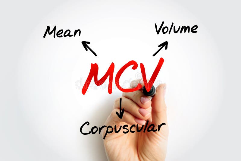 Mcv Mean Corpuscular Volume Acronym Medical Concept Background Stock ...