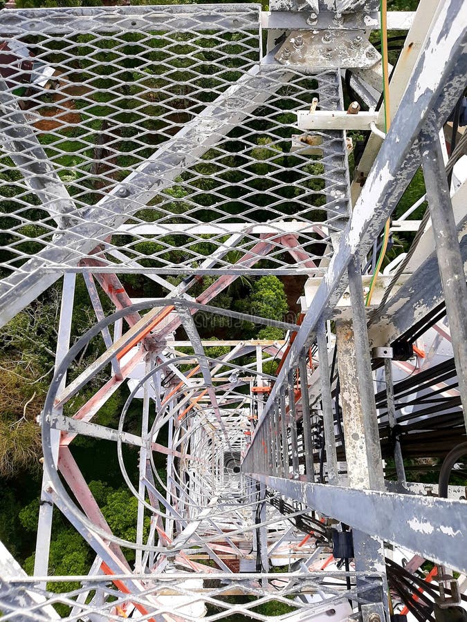 72 Mdpl from below stock photo. Image of tree, transport - 249952220