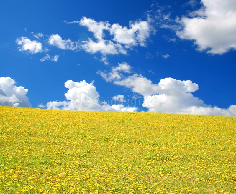 Open field stock photo. Image of meadow, blue, empty, summer - 110468