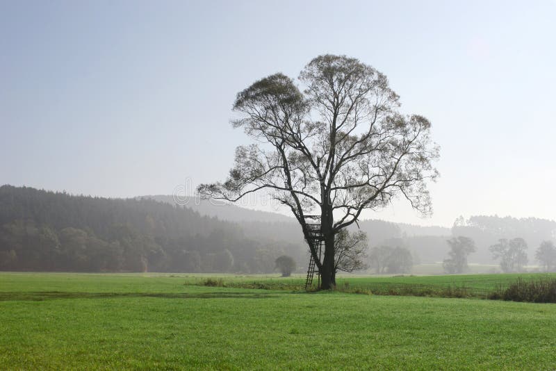 English Meadow River Wey Surrey Countryside Stock Photo - Image of ...