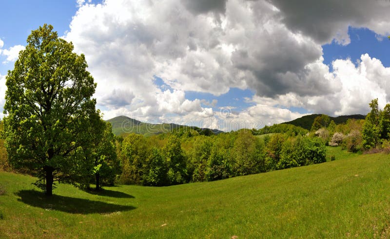 Sakiai town, Lithuania editorial stock image. Image of yellow - 69084899