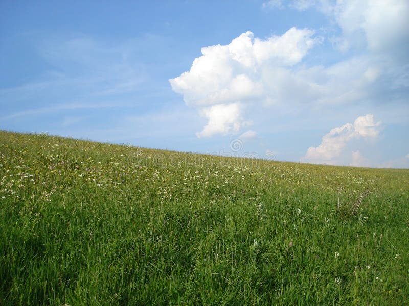 Meadow stock image. Image of tourism, colour, summer, alpine - 4421175