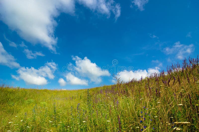 Meadow Picture. Image: 5209409