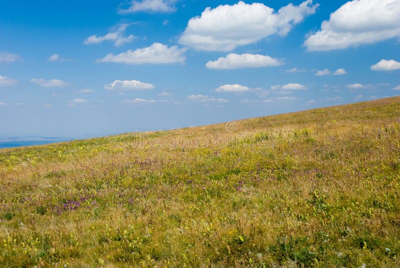 Meadow stock photo. Image of heaven, clear, horizon, scenic - 6638228