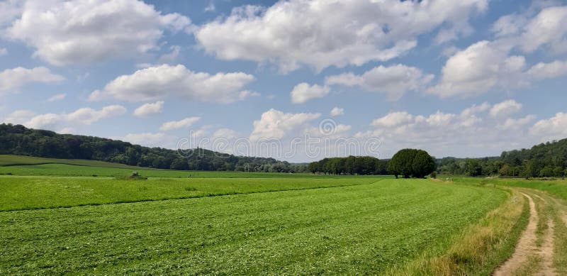 Meadow along a curved path stock photo. Image of hill - 253099362