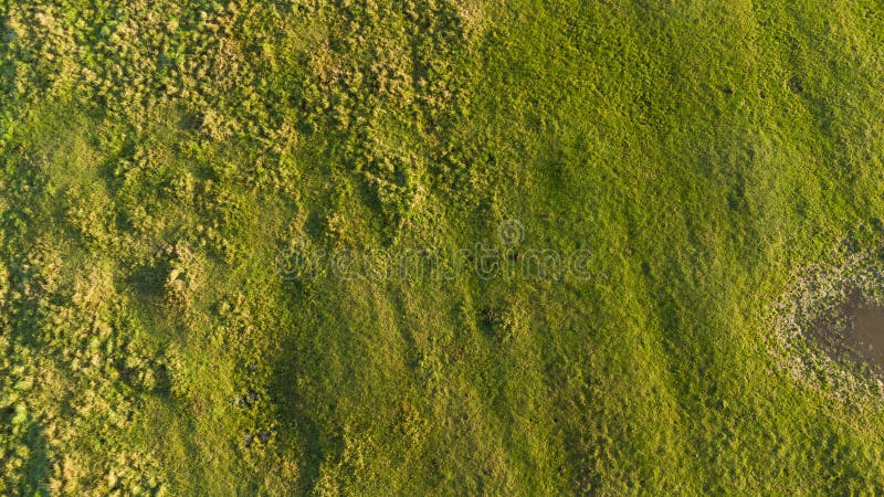 Meadow in Autumn Aerial View Stock Photo - Image of wallpaper, pattern ...
