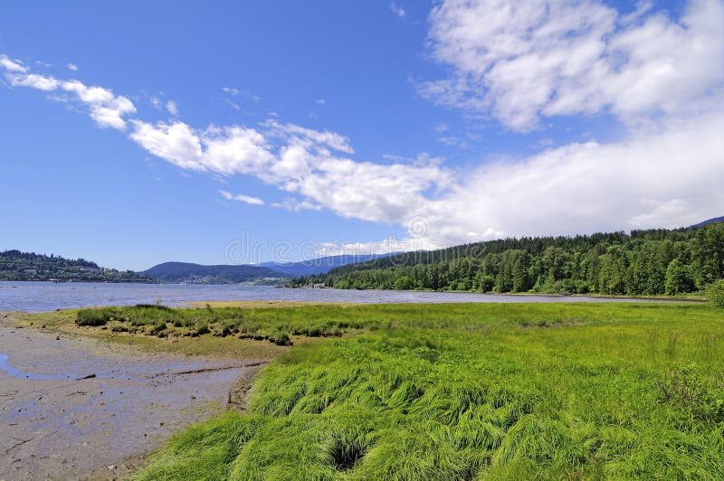 Sea Inlet Beach with City Highrises Stock Photo - Image of seawall ...
