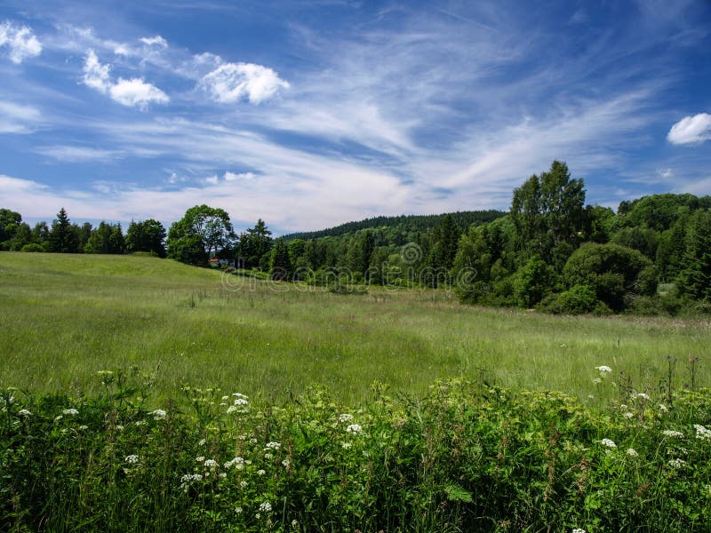 Sunny Meadow stock image. Image of seasons, sourland - 39333267