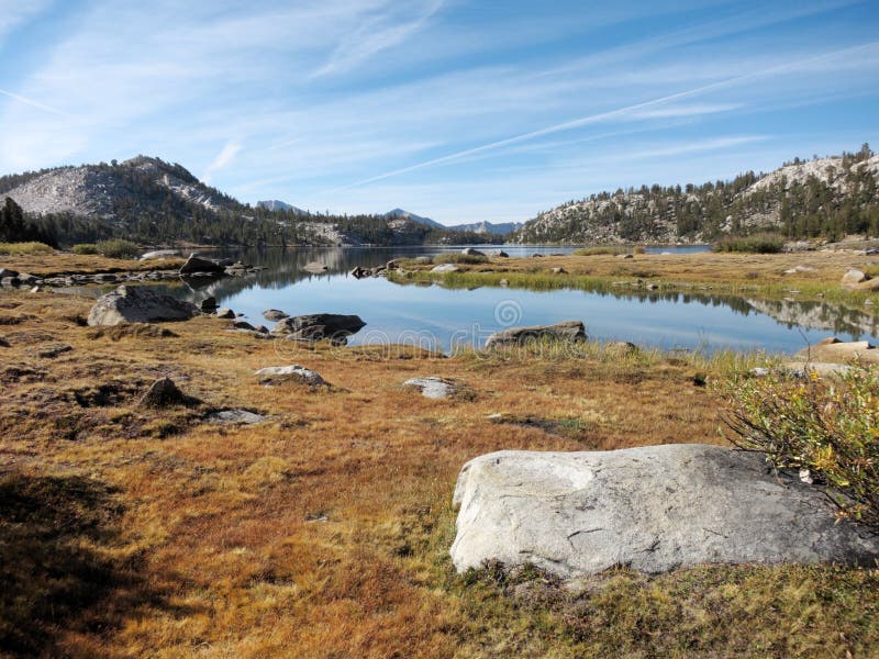 Meadow in California stock image. Image of greenery, california - 26993611