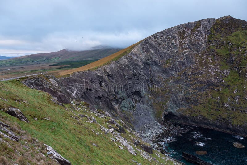 Beachside Cliffs Covered in Wild Flowers. Stock Photo - Image of bloom ...