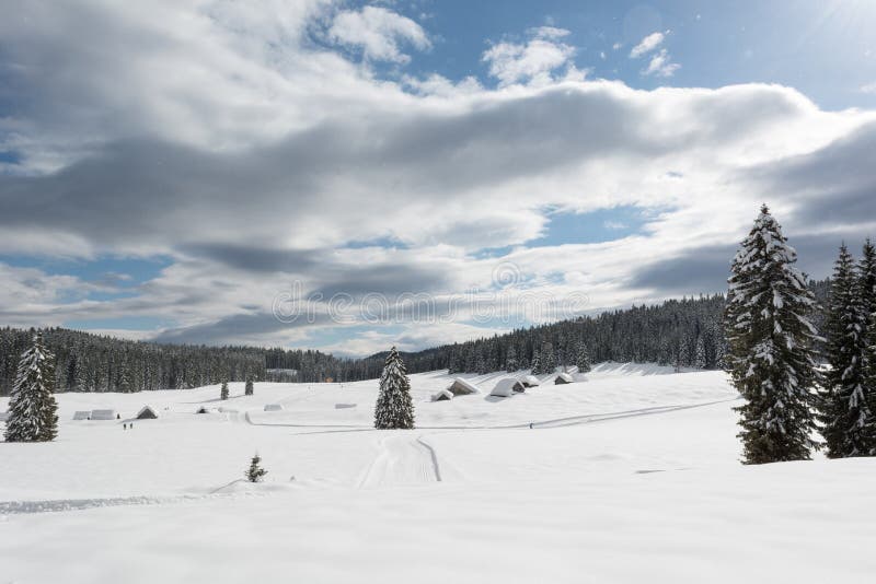 Meadow covered with snow stock image. Image of tracks - 38234613
