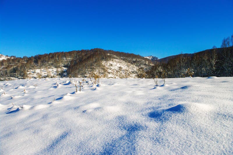Meadow Covered with Snow in the Mountains in Winter. Stock Image ...