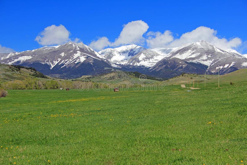 Meadow and Crazy Mountains, Montana Stock Photo - Image of outdoors ...