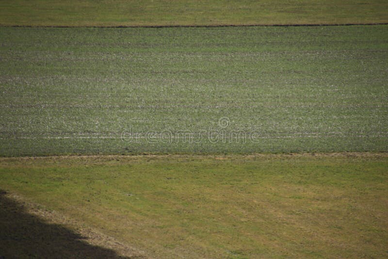 Meadow stock image. Image of green, agriculture, grass - 89749977