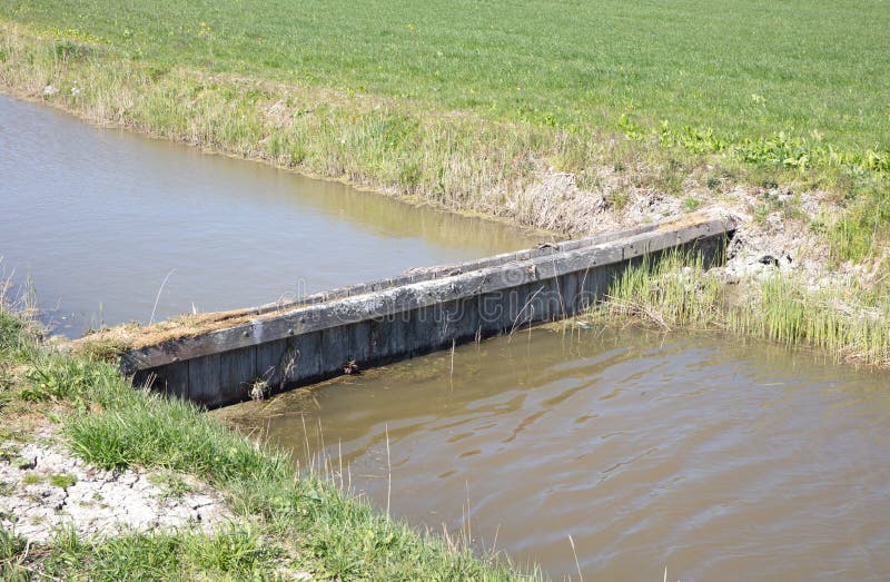 Meadow with a Ditch in the Netherlands Stock Photo - Image of wood ...