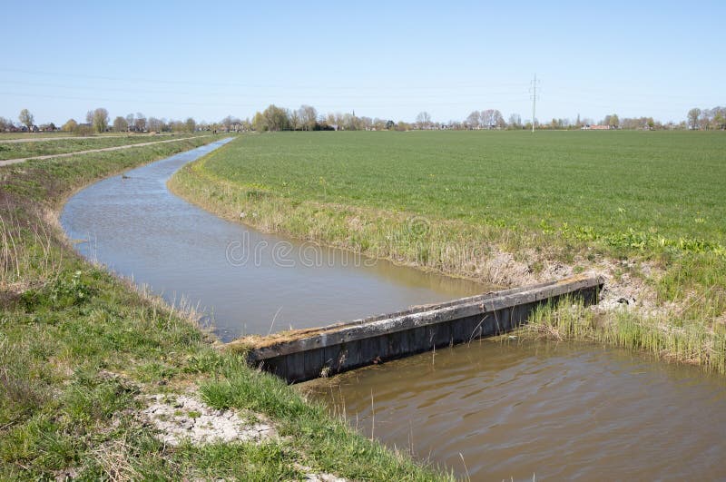Meadow with a Ditch in the Netherlands Stock Photo - Image of ...