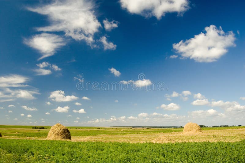 Meadow in Europe stock photo. Image of overcast, canada - 2958656