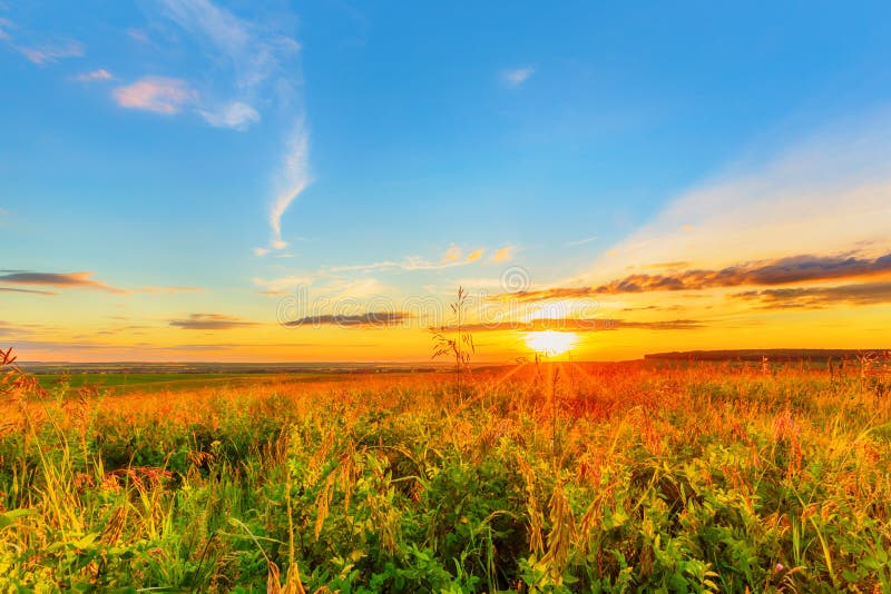 Summer Landscape with Flowers on a Meadow and Sunset Stock Photo ...