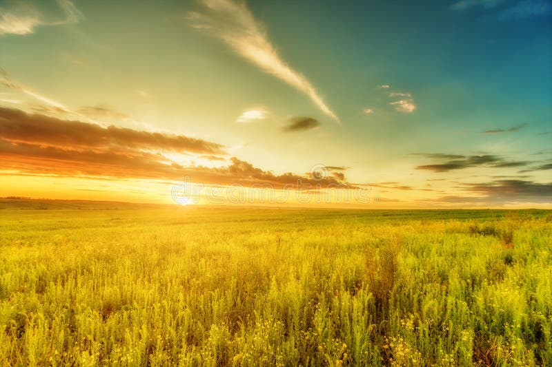 Meadow, Evening Sky and Sunset Stock Photo - Image of color, foliage ...