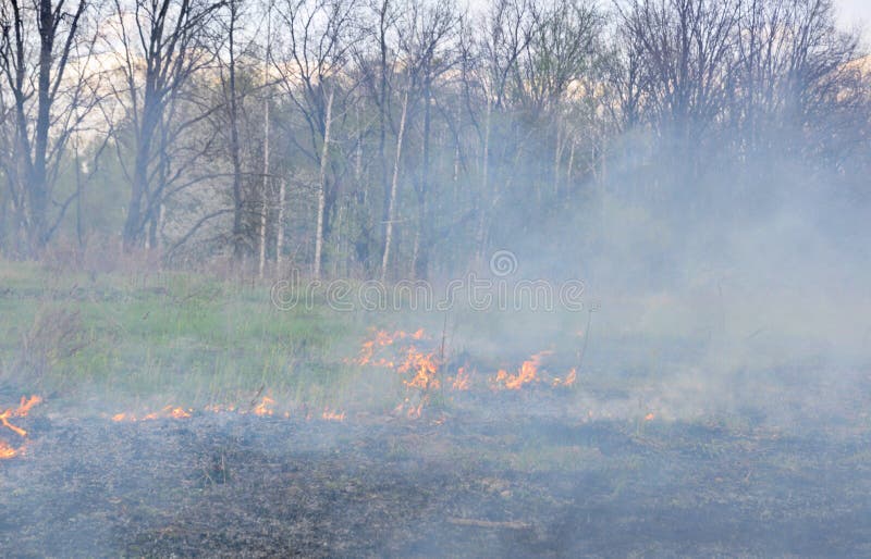Meadow on fire stock photo. Image of ground, ignition - 115537700