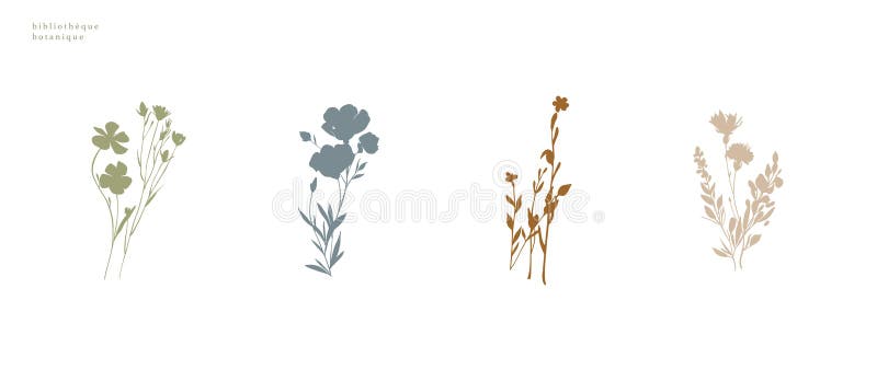 Meadow Flowers Vector Illustration. Botanical Header Background Stock ...