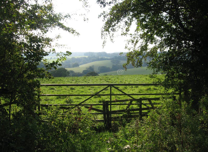 Meadow gate stock image. Image of rambling, inviting - 43508045
