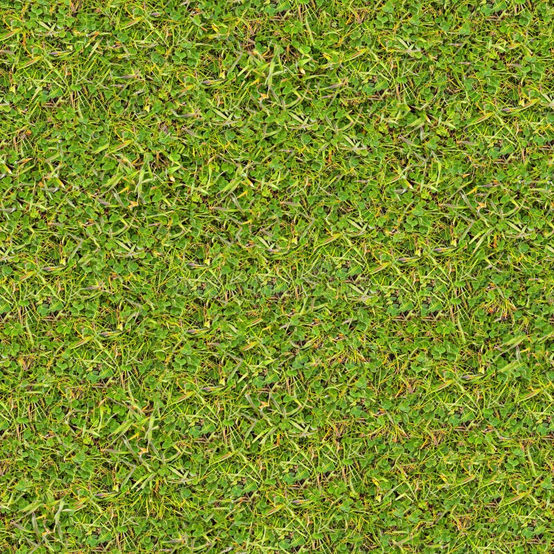 Meadow Grass. Seamless Texture. Stock Photo - Image of grow, land: 38537198