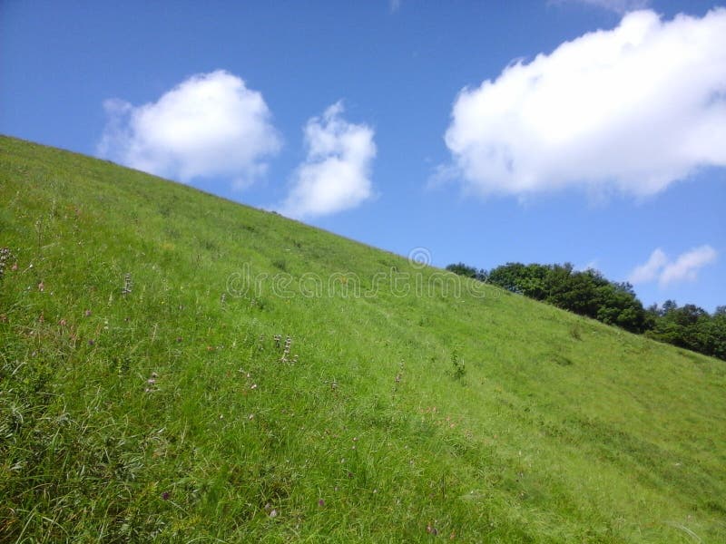 Meadow stock image. Image of landscape, mashuk, green - 86648463