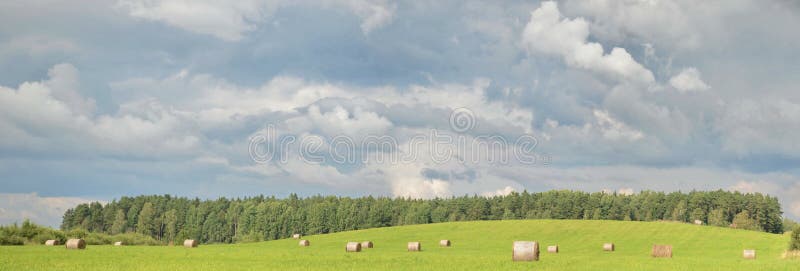 Meadow with Hay Rolls, Green Grass, Forest, Hill and Clouds Stock Photo ...