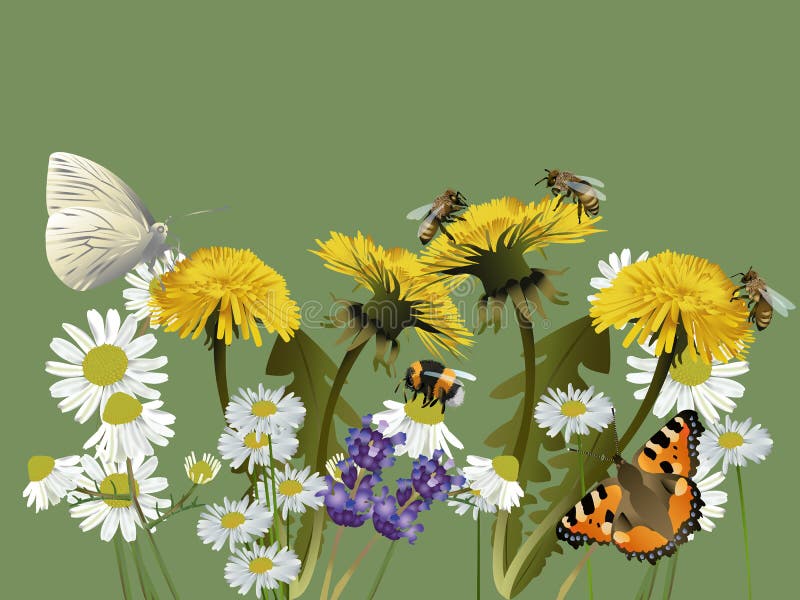 Meadow stock illustration. Illustration of spring, plant - 30840013