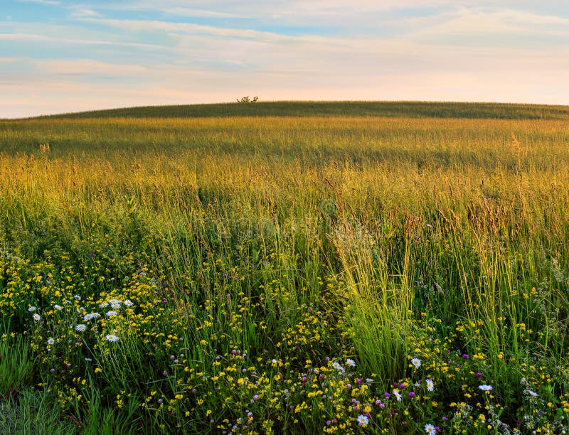 Meadow Land in Hudson Valley NY Spring Stock Image - Image of ...